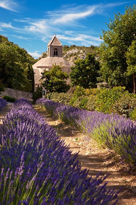 Abbeys and Monasteries in France » Oliver's France